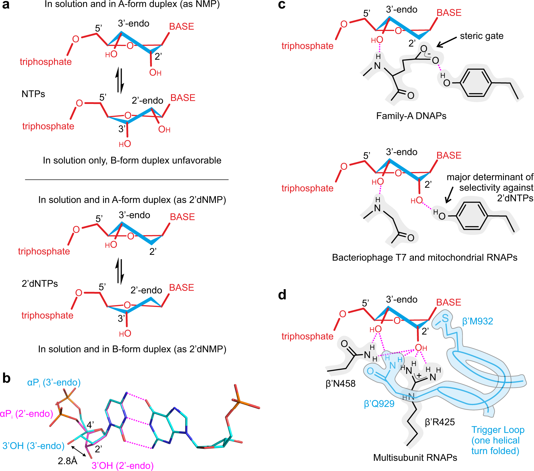 再谈核苷类似物 - GWDx